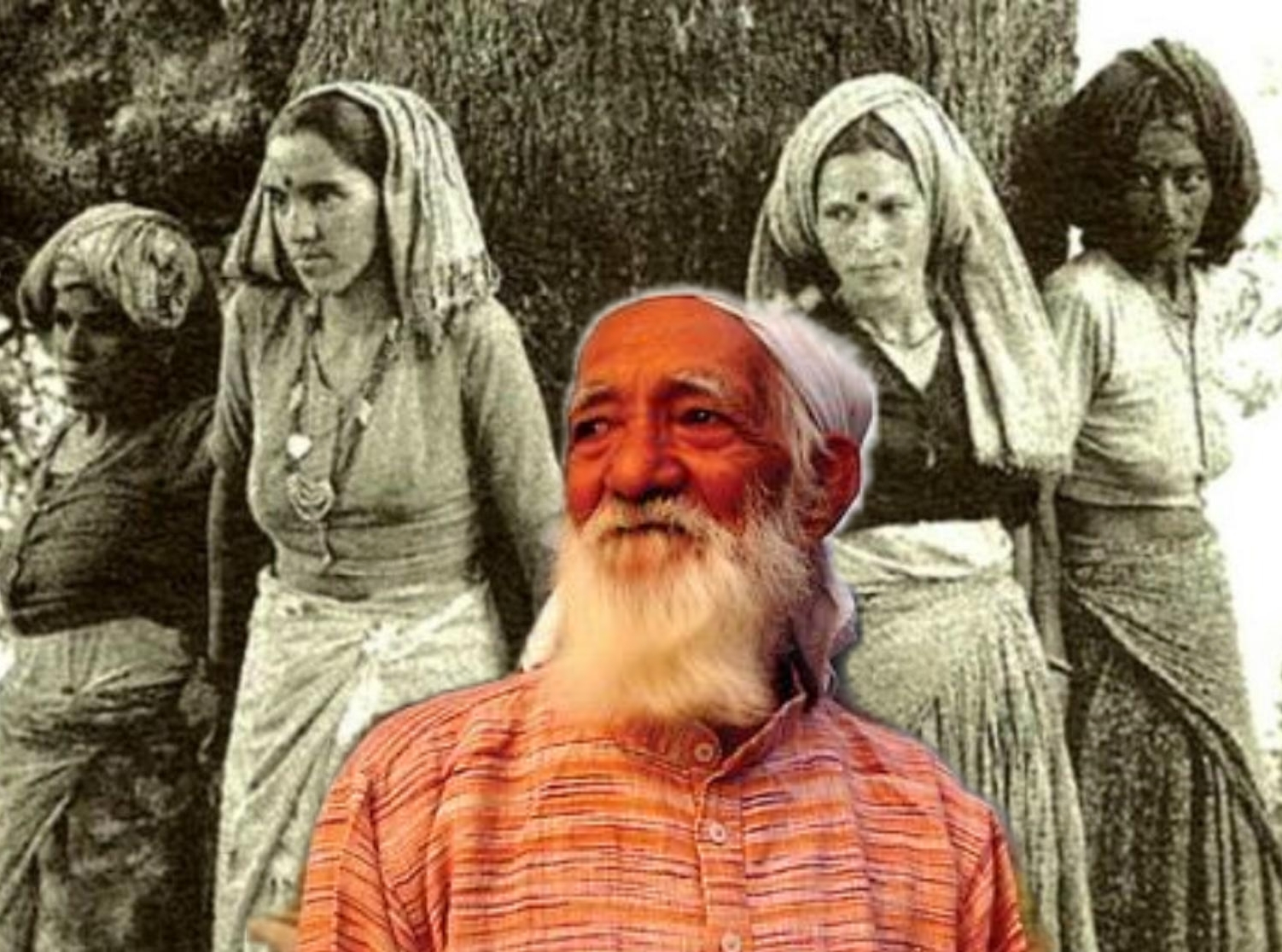 Chipko movement – Science Activity